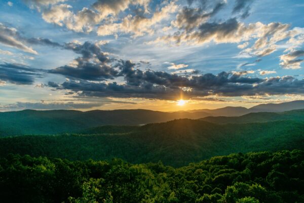 Solid Earnings, Shifting Conditions: A Mid-Year Perspective – White Oak ...
